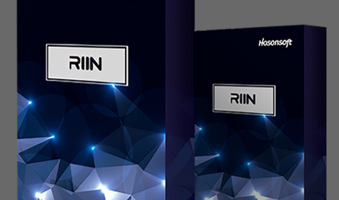 RIIN Rip Software – d-printmts